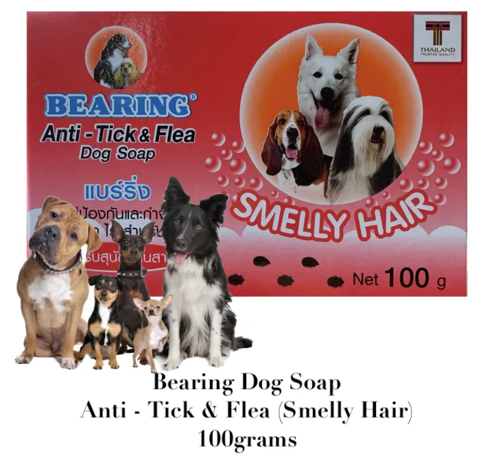 Bearing Dog Soap (Smelly Hair) Anti Tick and Flea (100g) | Lazada PH