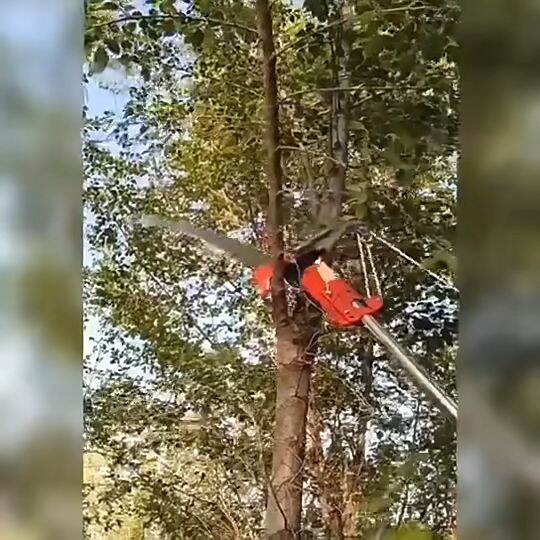 Gergaji Dahan Pohon Xander Gunting Dahan Tali Gergaji Ranting Pohon Tinggi | Lazada Indonesia