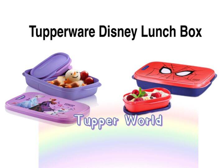 Tupper@ware Disney Frozen / Marvel Spider man Foddie Buddy Lunch Box ...