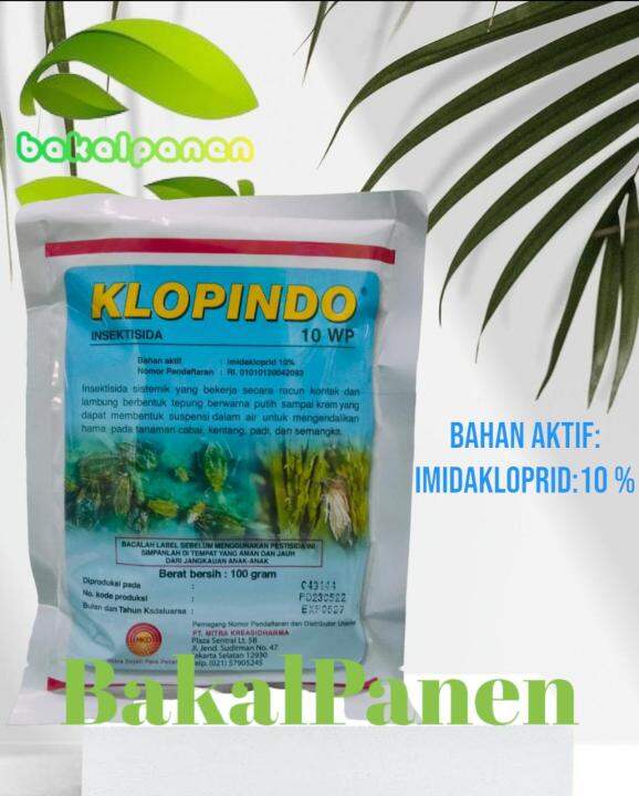 Insektisida obat hama belalang, kupu, rengit Imidakloprid KLOPINDO 10WP 100gram | Lazada Indonesia