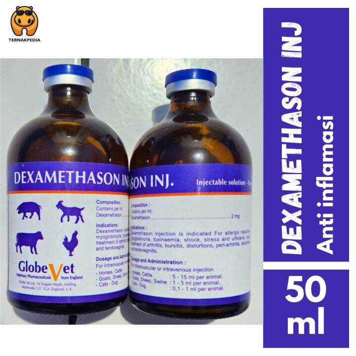 Dexa Globe Vet 50 ml - Anti inflamasi Ternak - Untuk Anjing dan Kucing ...