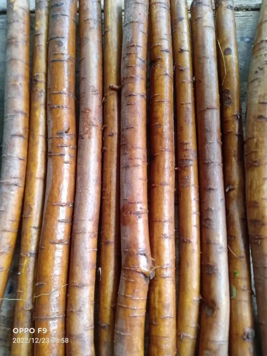 jual akar tuba akar kawao 1kg | Lazada Indonesia