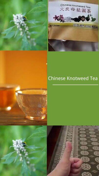 Chinese Knotweed Tea release dampness 火炭母祛湿茶 排水祛湿 | Lazada