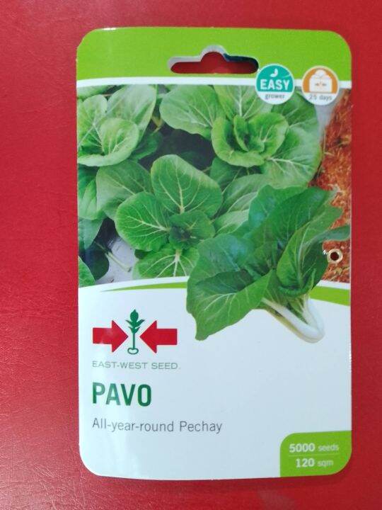 PAVO OPV PECHAY SEEDS BLACK BEHI TYPE( 5000SEEDS)EAST WEST SEEDS ...