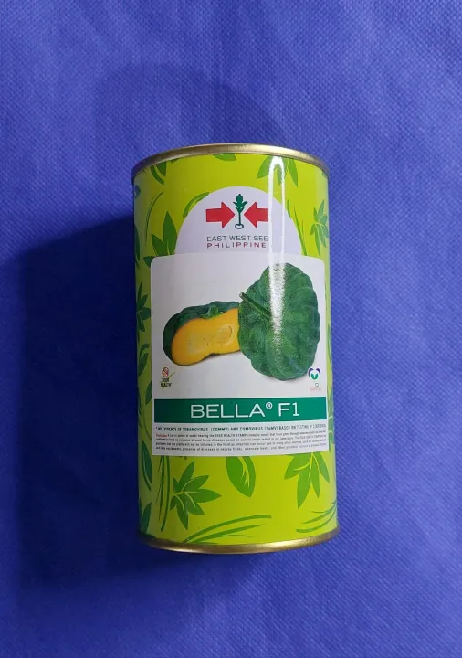 Bella F1 (100 grams) Hybrid squash / pumpkin / Kalabasa / calabasa by ...