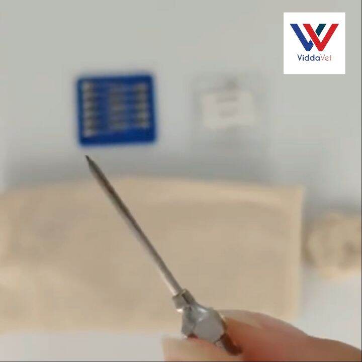 EliteVet 1 Dozen veterinary needle stainless syringe needles Gauge 16 x ...