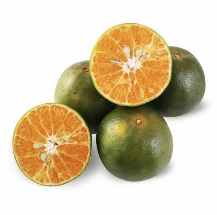 Jeruk peras fresh jeruk lokal per 1kg | Lazada Indonesia