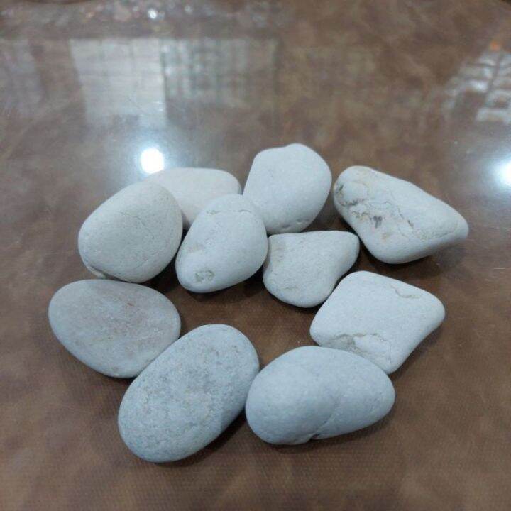 Batu Coral / Batu Koral Putih Hiasan Aquarium Aquascape | Lazada Indonesia