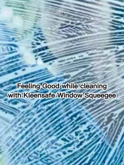 Window Squeegee Smudge Free Streak Free Stainless Handle Grip Windows ...