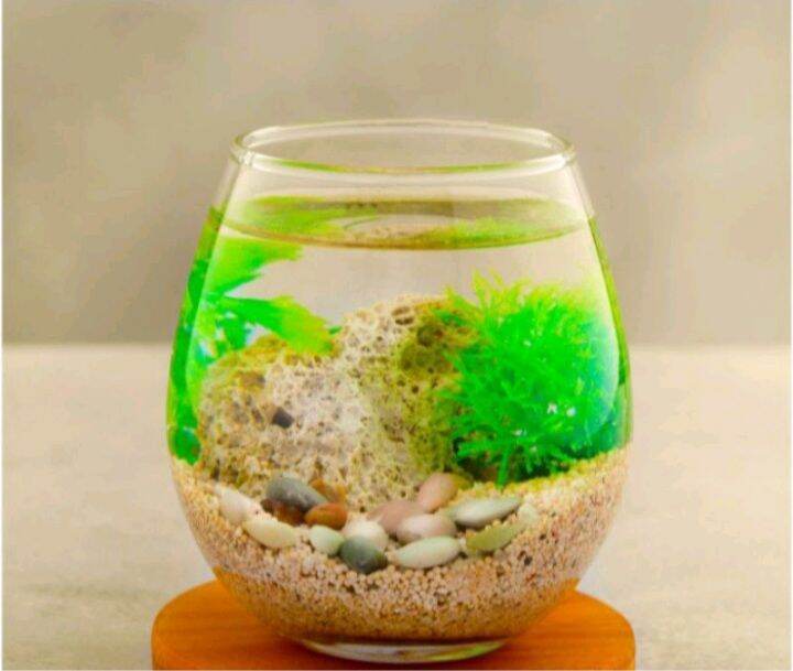 Aquarium (2 pcs) + Batu warna warni /Aquarium Kaca mini/Aquarium bulat ...