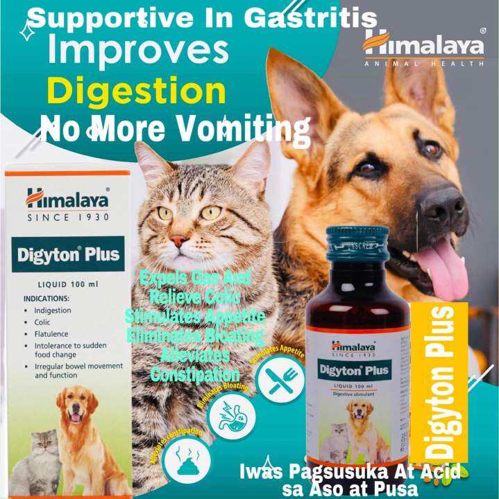 Himalaya Digyton Plus Digestive Stimulant For Dogs And Cats 100ml ...