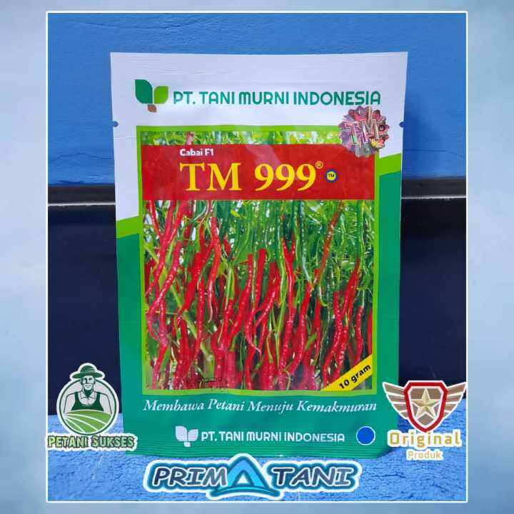Benih Cabai Kriting TM 999 F1 isi 10gram - ASLI | Lazada Indonesia