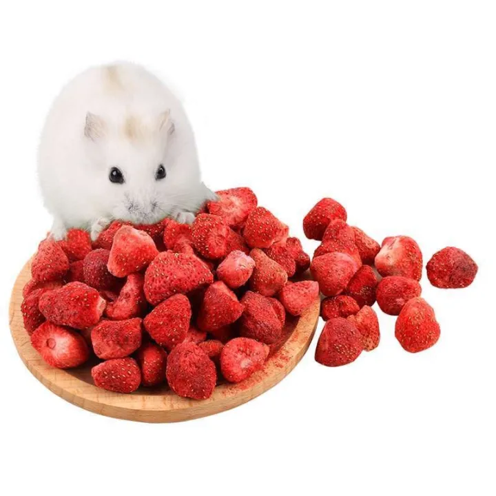 Freeze Dried Strawberry Hamster Food Pet Snack Repack/ 冻干草莓 金丝熊侏儒仓鼠宠物零食 ...