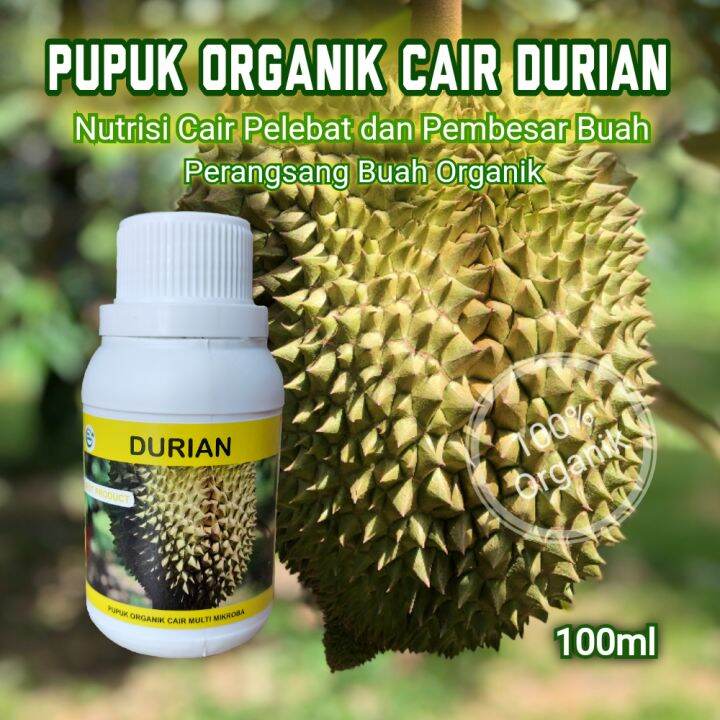 Pupuk Durian Organik Agar Cepat Berbuah Lebat Ampuh Booster Pelebat Buah Obat Perangsang Bunga ...