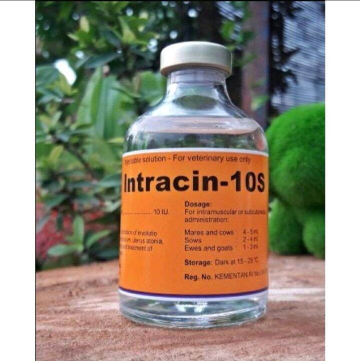 INTRACIN 10S 50 ml (Pengganti Oxytocin 10) Hormon Perangsang Kontraksi ...