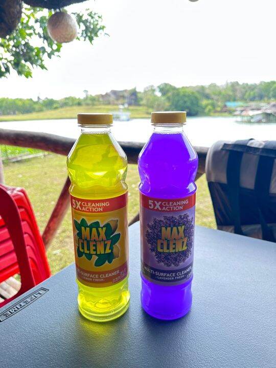 MAX CLENZ MULTI-SURFACE CLEANER 828ml | Lazada PH