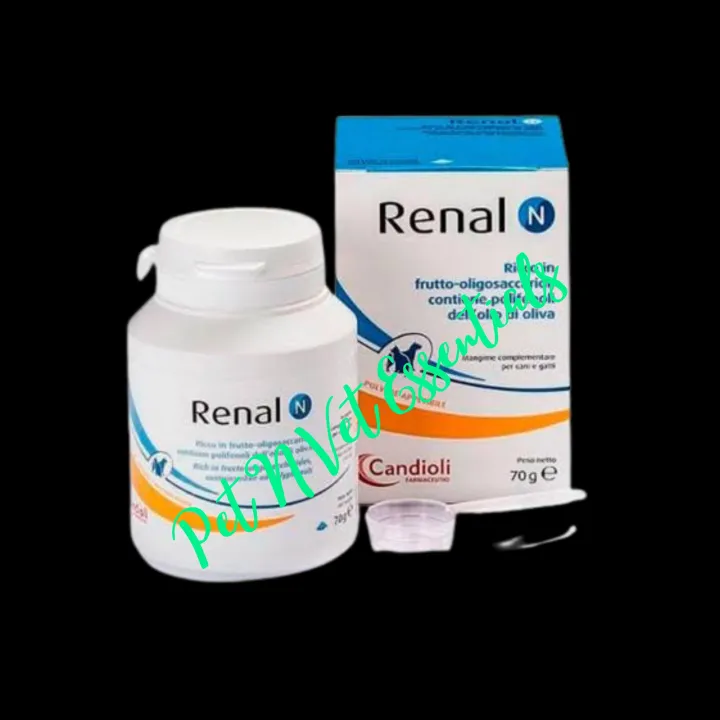 Candiole Renal N Powder 70g | Lazada PH