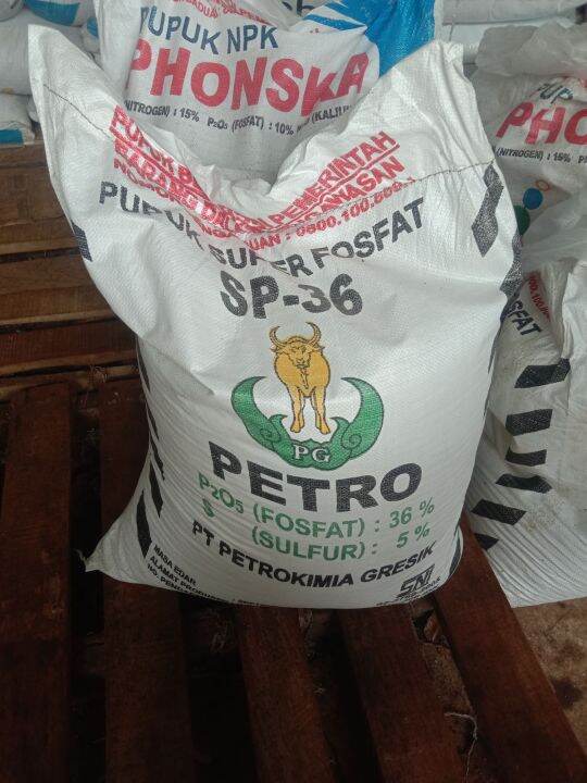 PUPUK SP 36 PUPUK PERANGSANG BUAH 1kG | Lazada Indonesia