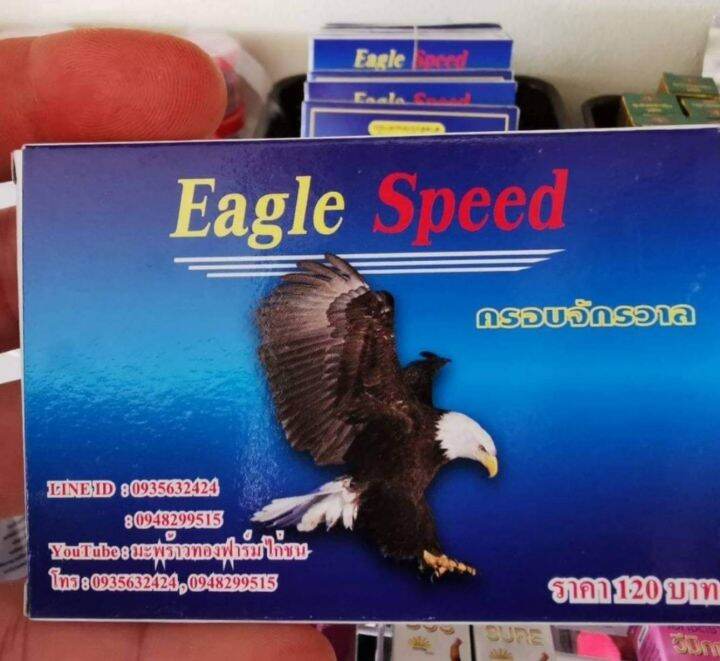 Eagle Speed อีเกิ้ลสปีด สำหรับไก่ชน | Lazada.co.th