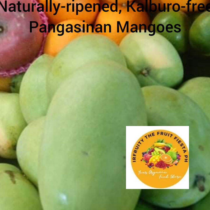 GREEN MAGOES KALABAW 650/kilo(3 to 4pcs.) STRICTLY NO RETURN | Lazada PH
