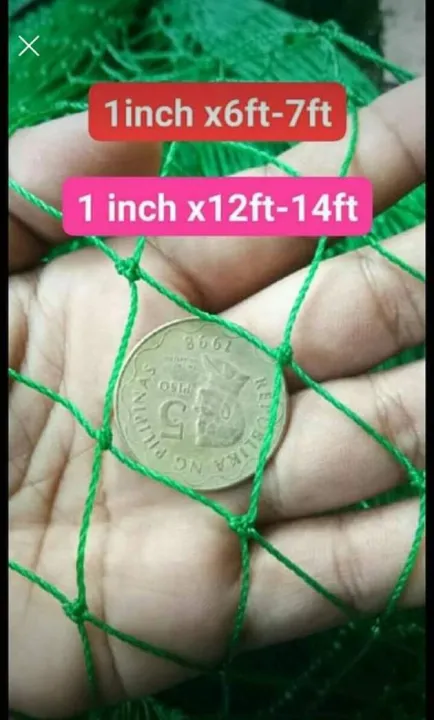 100 meters -1 inch x6ft -Promo Net /Range Net/Chicken Net/Poultry Net ...