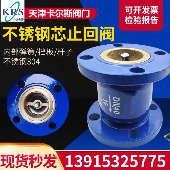 HC41X-16 Muffler Check Valve Flange Stainless Steel Core Check Valve Check Valve Vertical ...