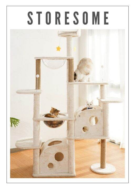 New Dice Series Cat Climbing Post With Huge Nap Area & Half-Round Clear ...