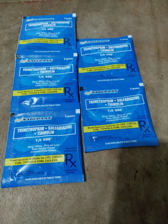 SAGUPAAN T2S 500 POWDER (SOLD PER 5 SACHET)5 GRAMS | Lazada PH