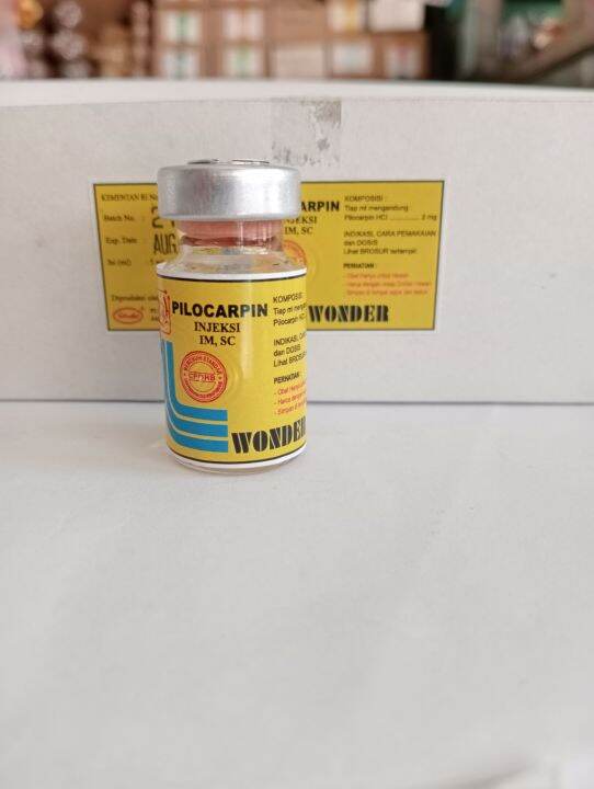 PILOCARPIN injeksi obat kembung hewan | Lazada Indonesia
