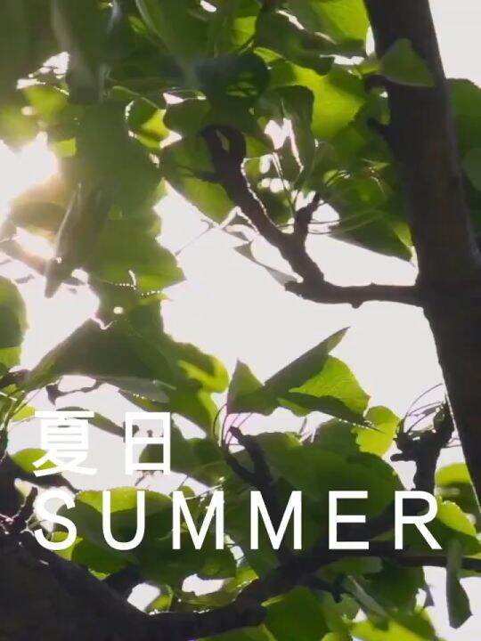 BEAUTYHOLICS Sunisa Whitening Sunscreen SPF 50 Spray 150ml | Whitening ...