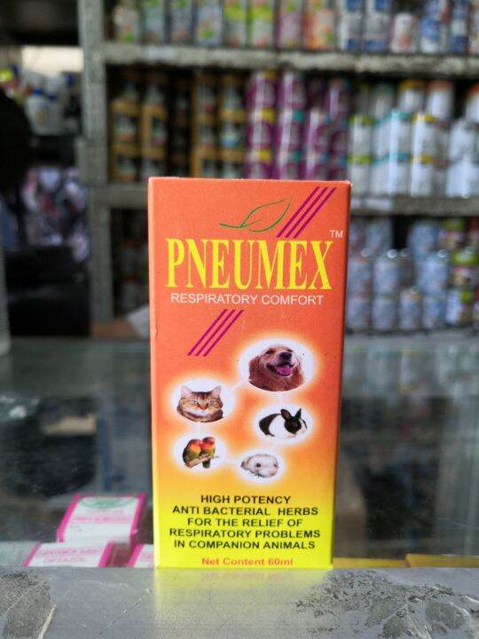 Pneumex Syrup 60ml | Lazada PH