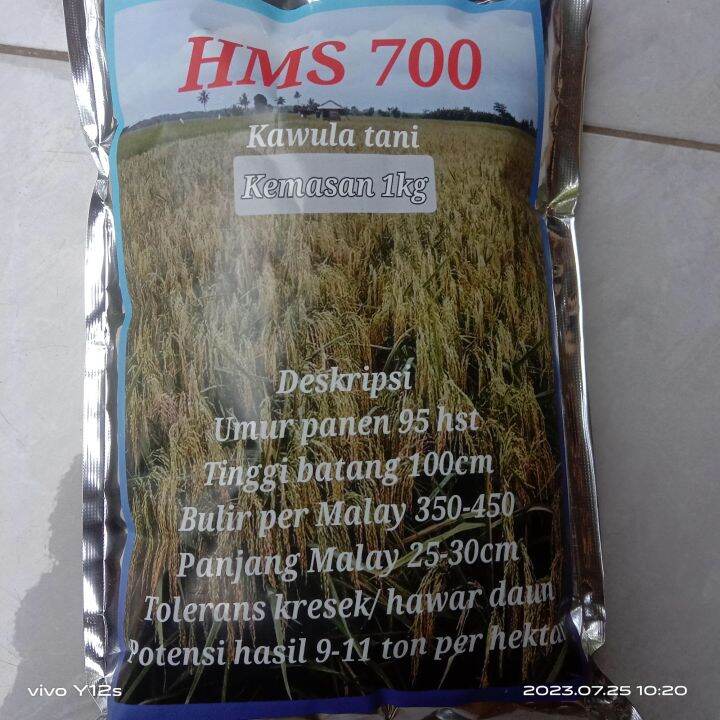 BENIH PADI BERKUALITAS HMS700 KEMASAN 1KG ORIGINAL PRODUK | Lazada Indonesia