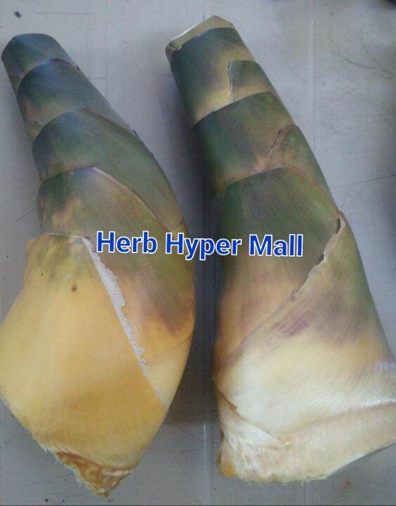 REBUNG BAMBU SAYUR 1KG | Lazada Indonesia