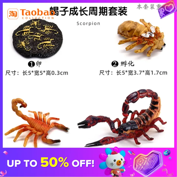 Model Large Size Insect SPYDER Beetle Bees Scorpion Model Toy Plastic ...