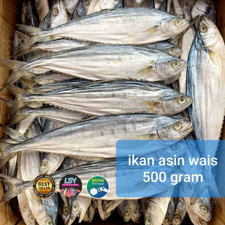 ikan asin wais / ikan talang-talang 500gr | Lazada Indonesia