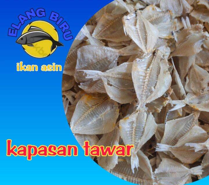 IKAN ASIN kapasan tawar kering | Lazada Indonesia