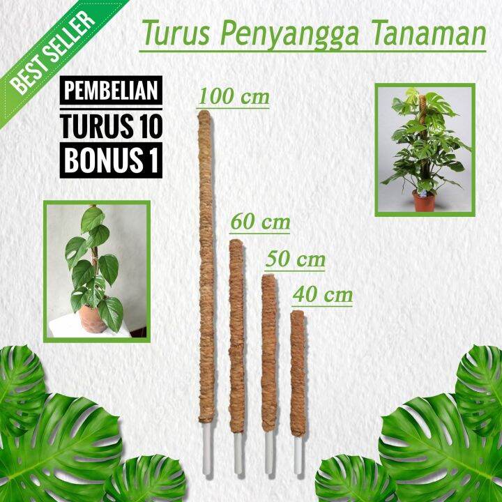 Turus Penyangga Tanaman - Turus Tanaman Pipa Paralon 100 cm | Lazada ...