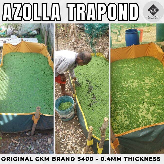 5x3x2ft S200 One Piece High Quality Azolla Bed & Fish Ponds. Original ...