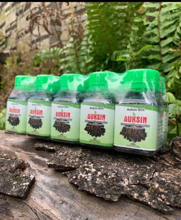 Pupuk Hormon Tanaman AUKSIN 60ml | Lazada Indonesia