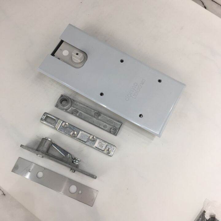 Dorma Dormakaba BTS65 EN3&4 Double Action Floor Hinge 100KG | Lazada PH