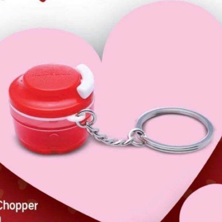 Tupperware KeyChains | Lazada PH