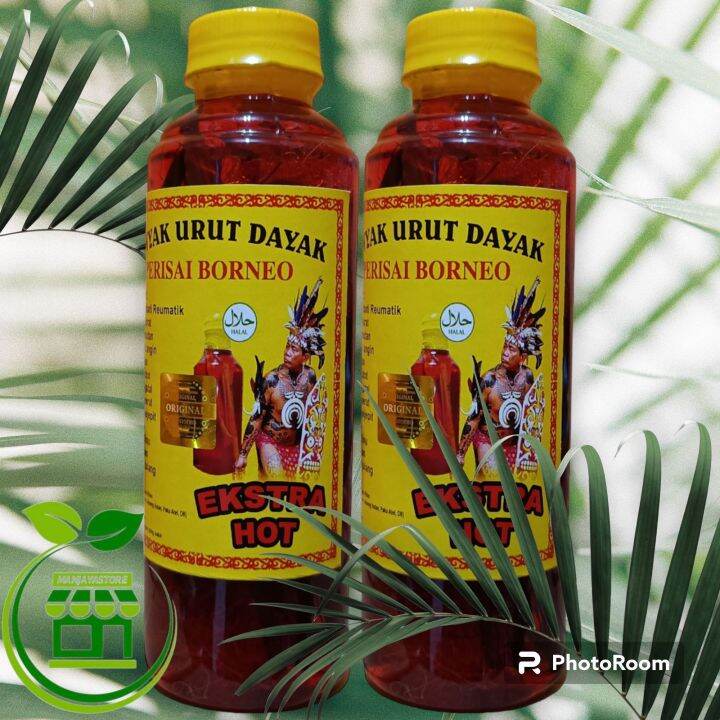 Paket 2 Botol | Minyak Urut Dayak Premium Asli Kalimantan 250ml ...