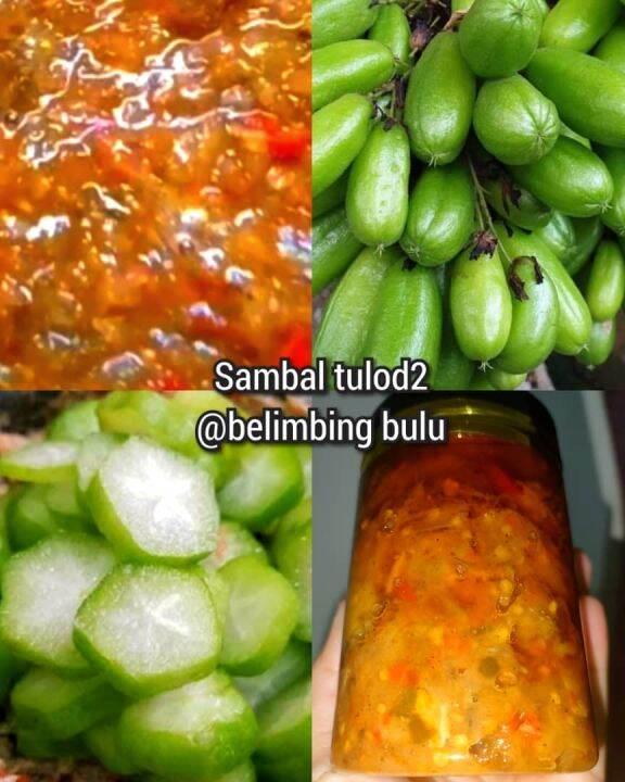 Sambal Ulod-Ulod | Lazada