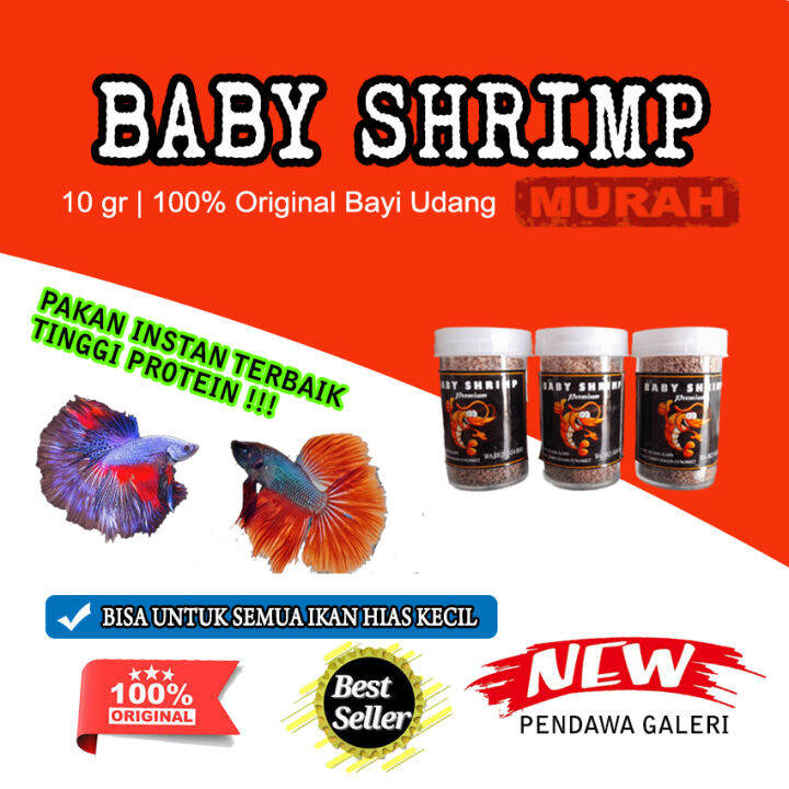 BABY SHRIMP BAYI UDANG MURNI TANPA CAMPURAN UNTUK PAKAN INSTAN IKAN ...