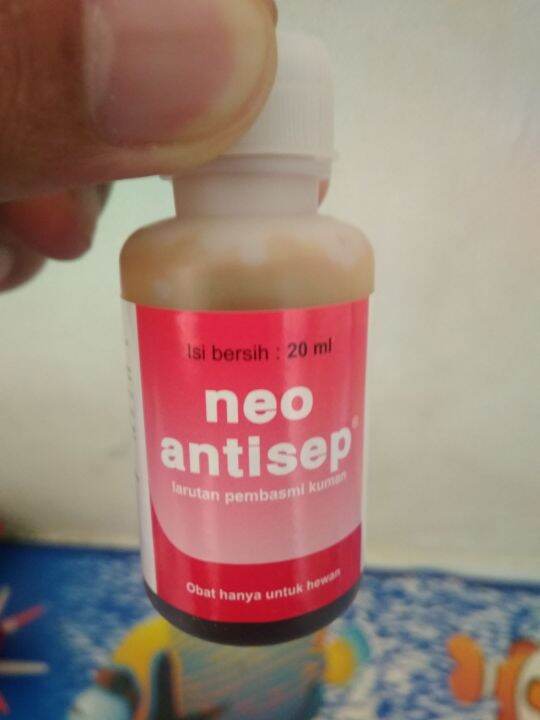 neo antisep 20ml | Lazada Indonesia