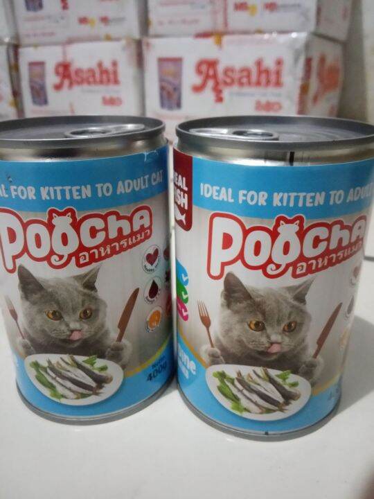 Makanan kucing basah kaleng Poucha | Lazada Indonesia