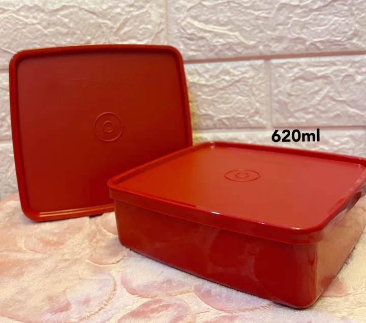 Tupperware Large Square Away 620ml (1pc） | Lazada