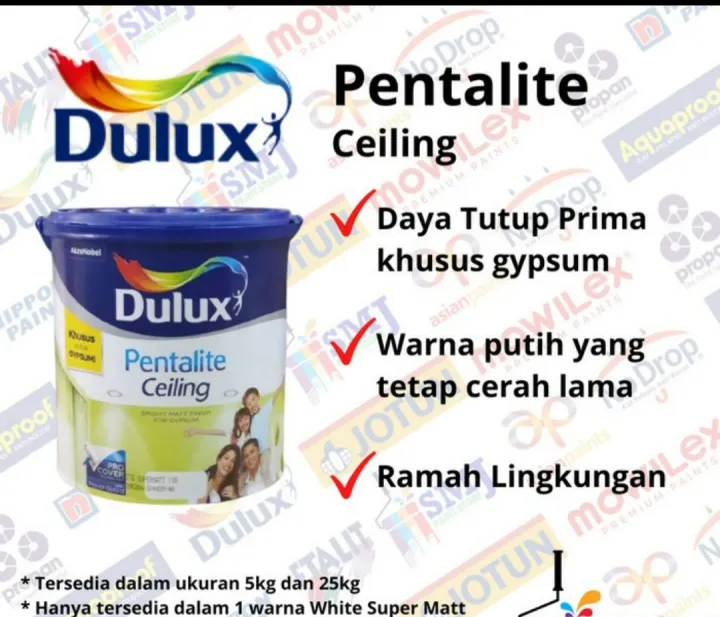 Cat Plafon Gypsum DULUX PENTALITE CEILING Putih White Supermatt 5 Kg ...