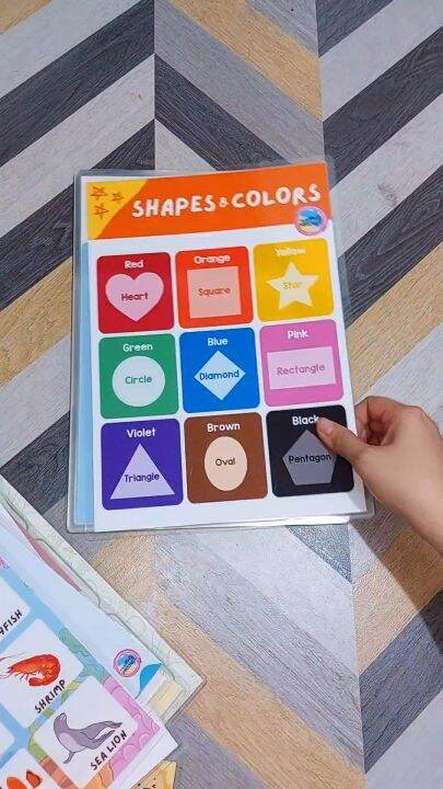 SHAPES & COLORS LAMINATED WALL CHART A4 | Lazada PH
