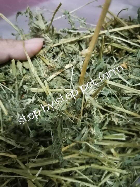 alfafa hay more leaf | Lazada